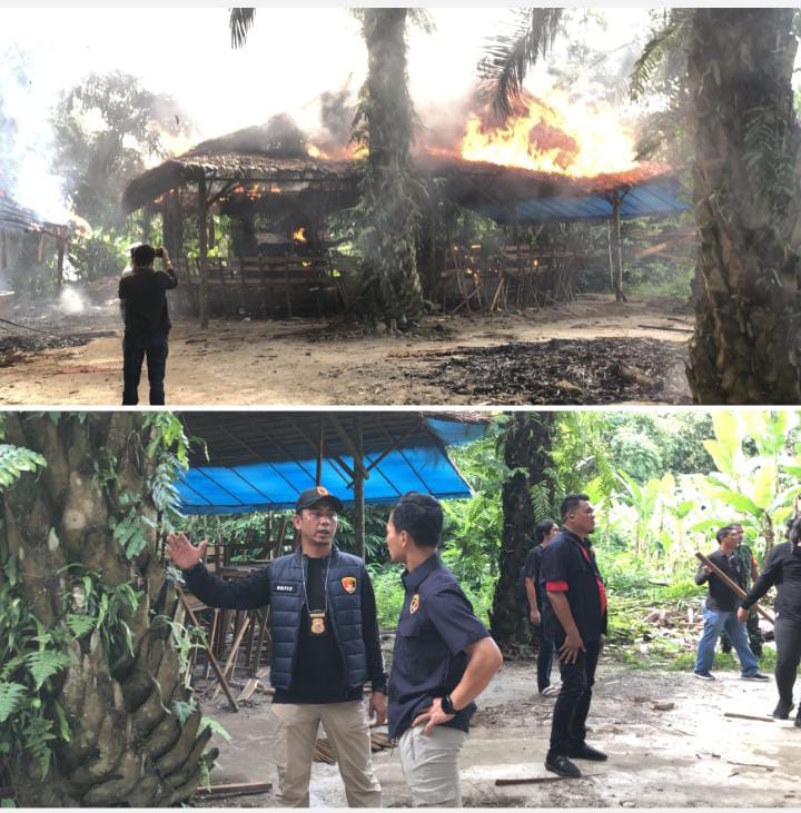 Lapak Sabung Ayam Pancur Batu Digrebek Polrestabes Medan dan Denpom 1/5 ...